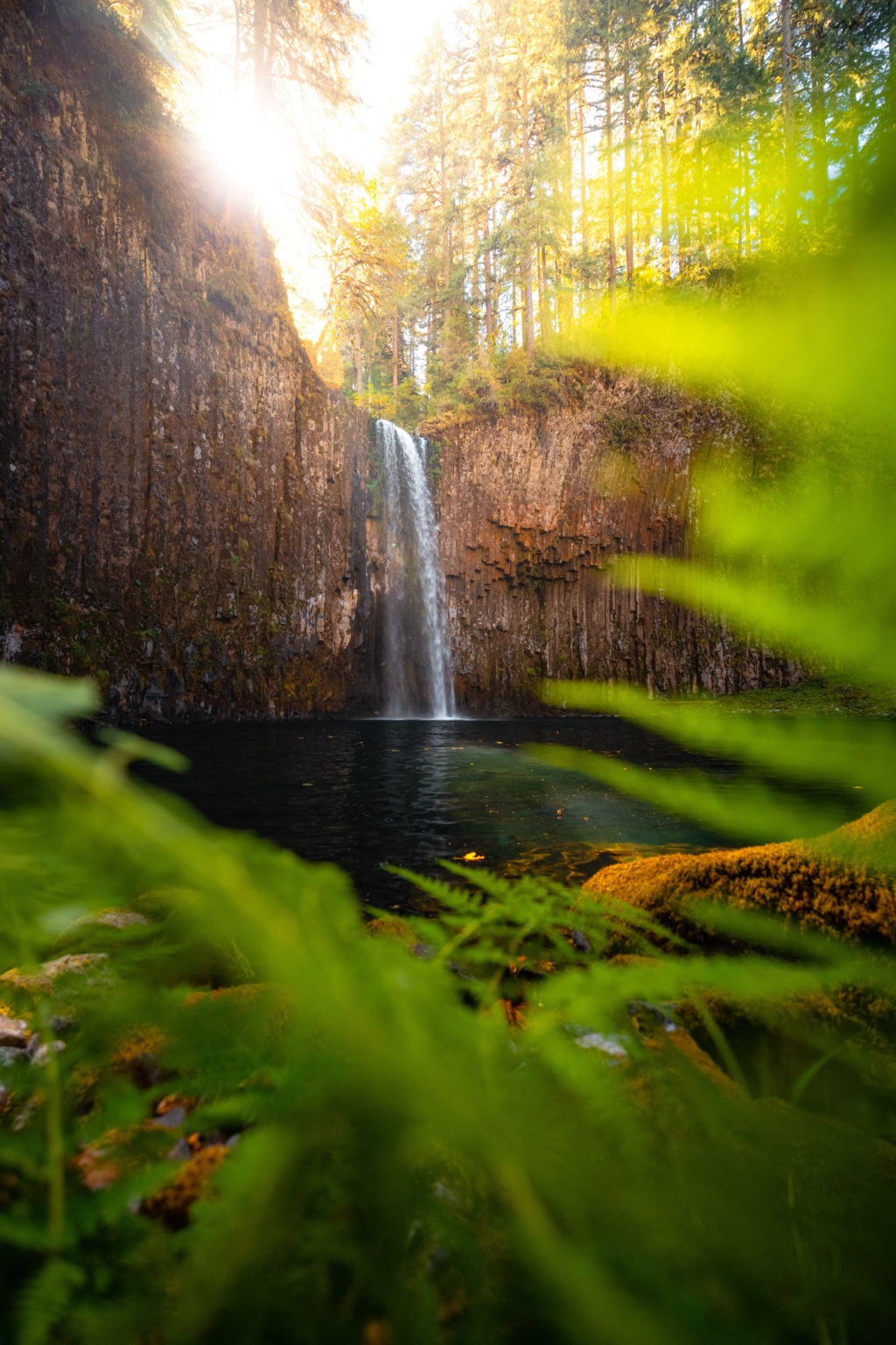 14 Best Places to Photograph in Oregon (Travel Guide)
