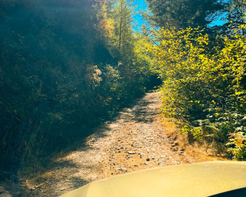 Abiqua Falls: The Photographer's Guide