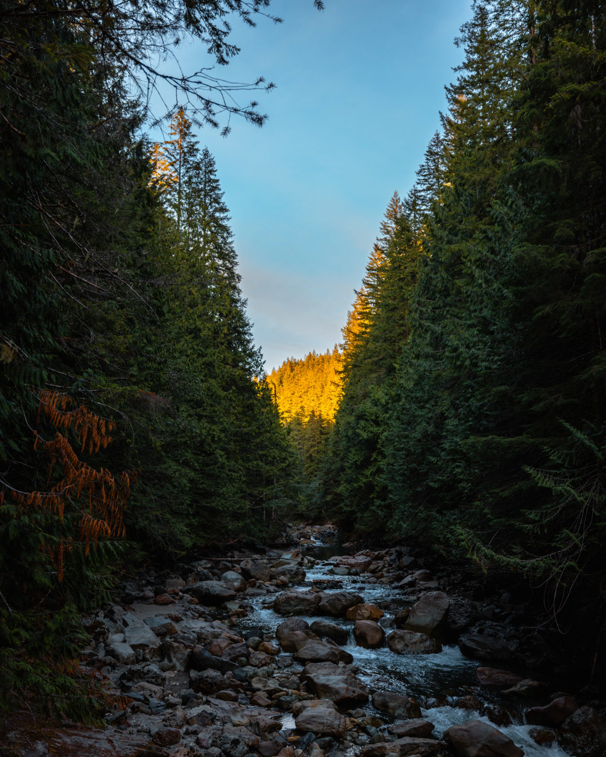 Visiting Picture Lake in Washington State (Tips & Photos)