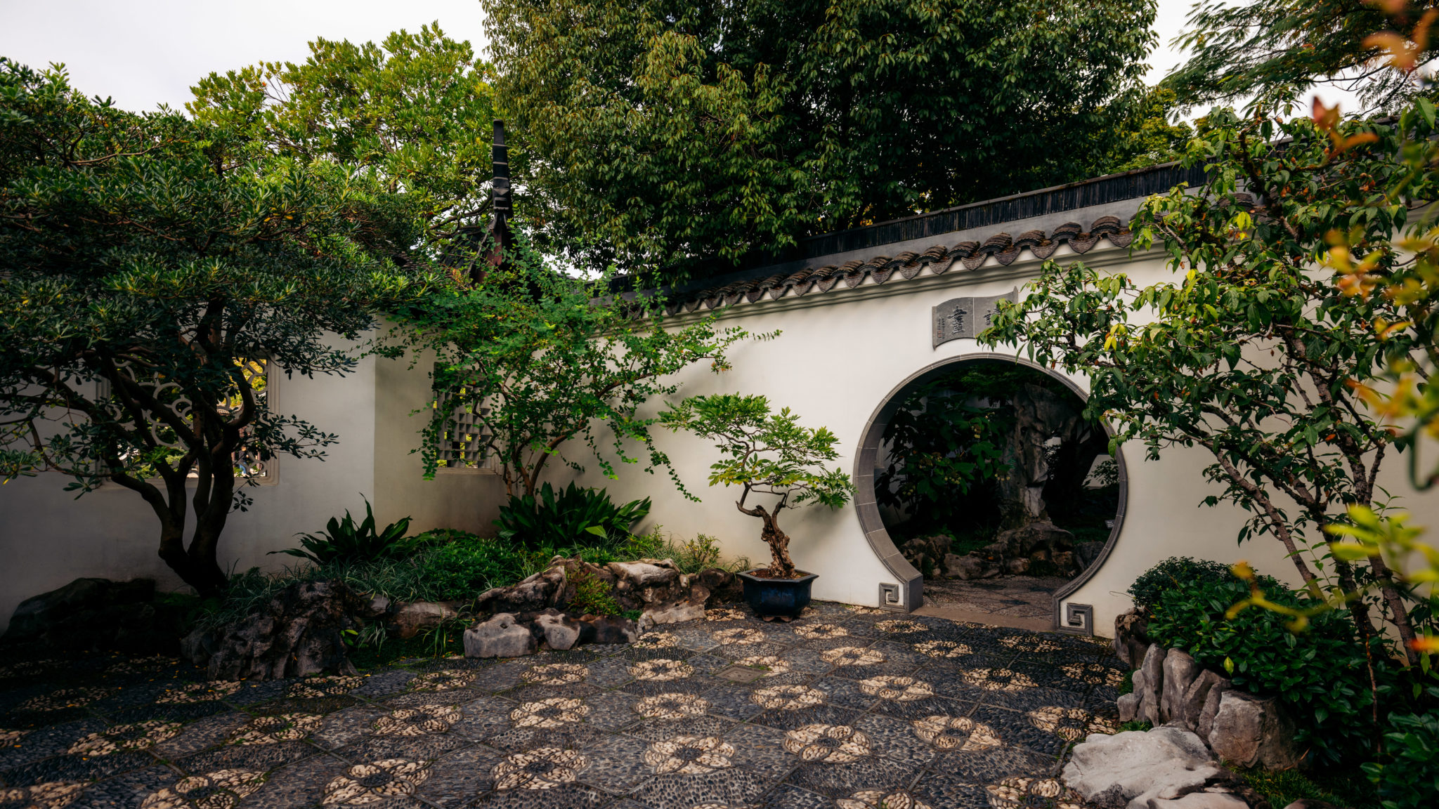 Exploring the Lan Su Chinese Garden in Portland, Oregon