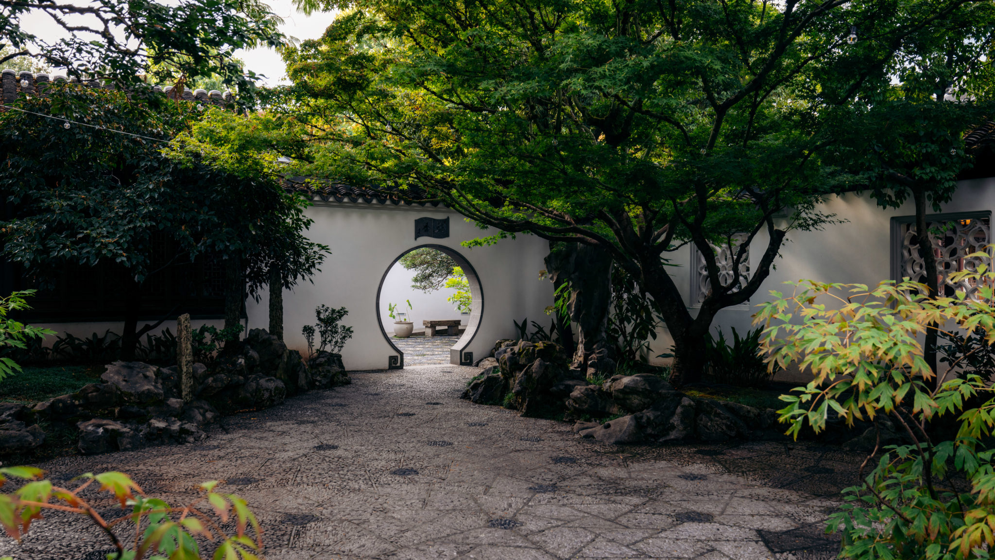 Exploring the Lan Su Chinese Garden in Portland, Oregon