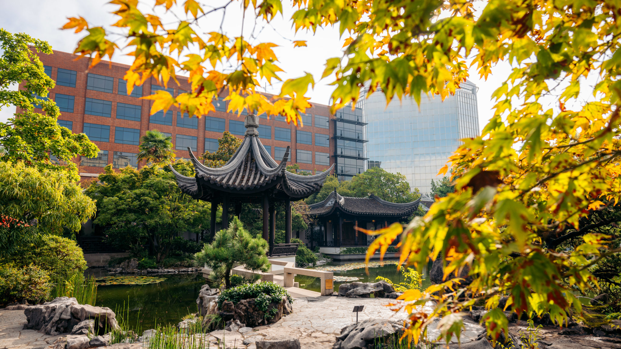 Exploring the Lan Su Chinese Garden in Portland, Oregon