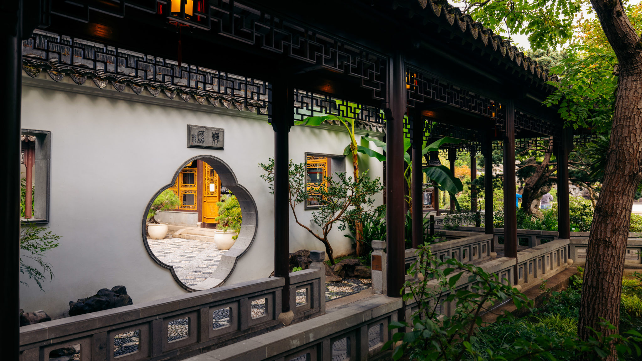 Exploring the Lan Su Chinese Garden in Portland, Oregon