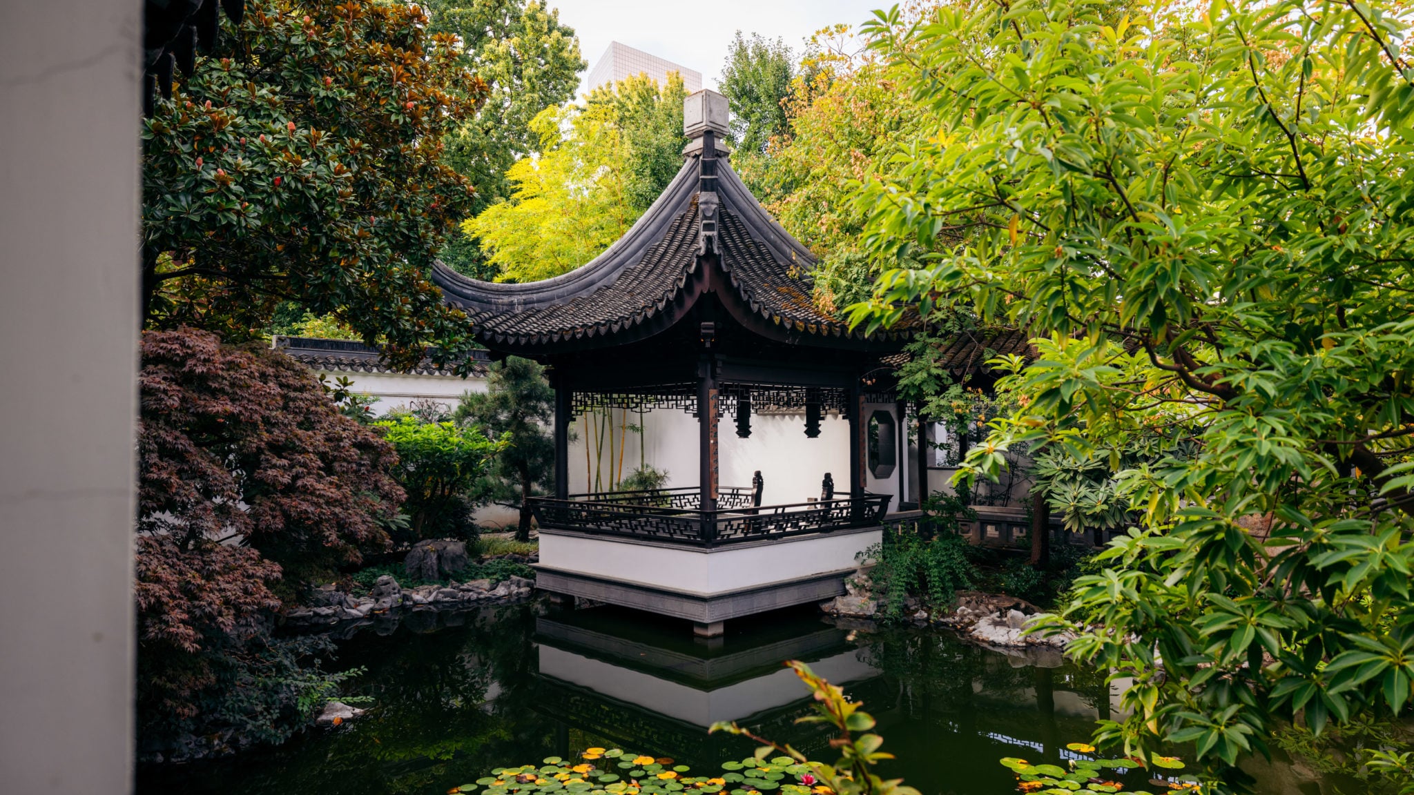 Exploring the Lan Su Chinese Garden in Portland, Oregon