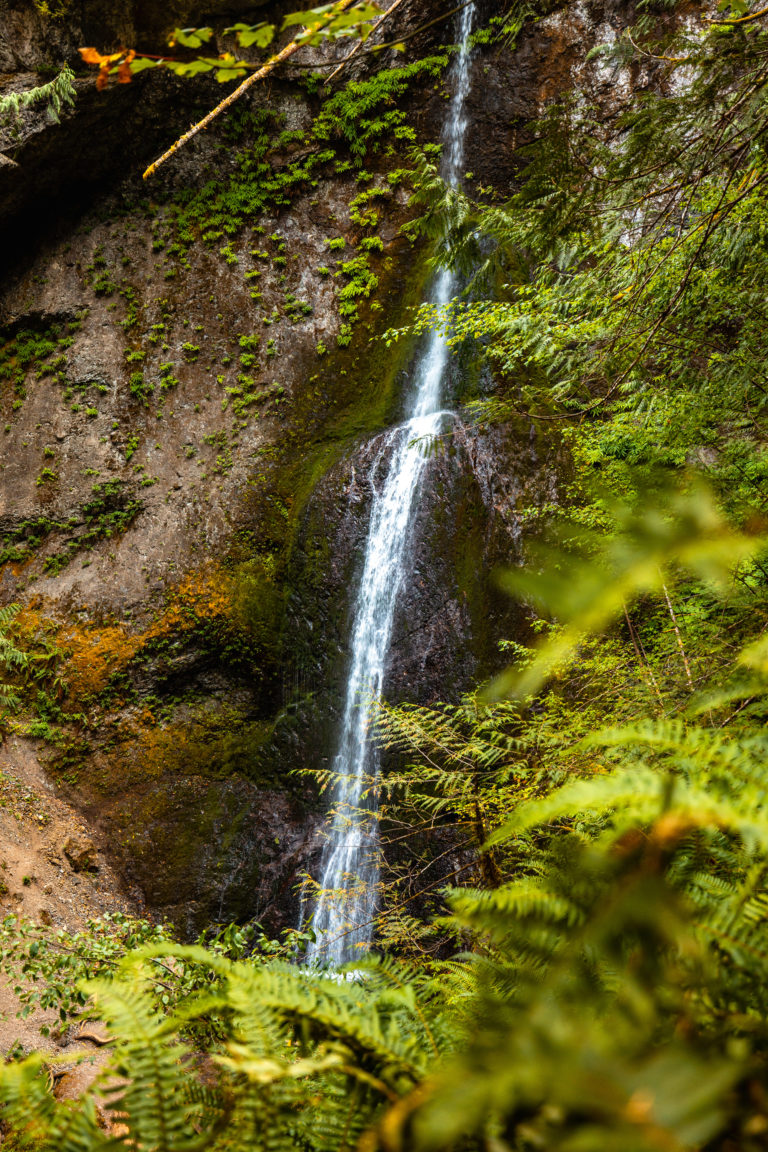 Marymere Falls in Olympic National Park: Photos & Travel Guide