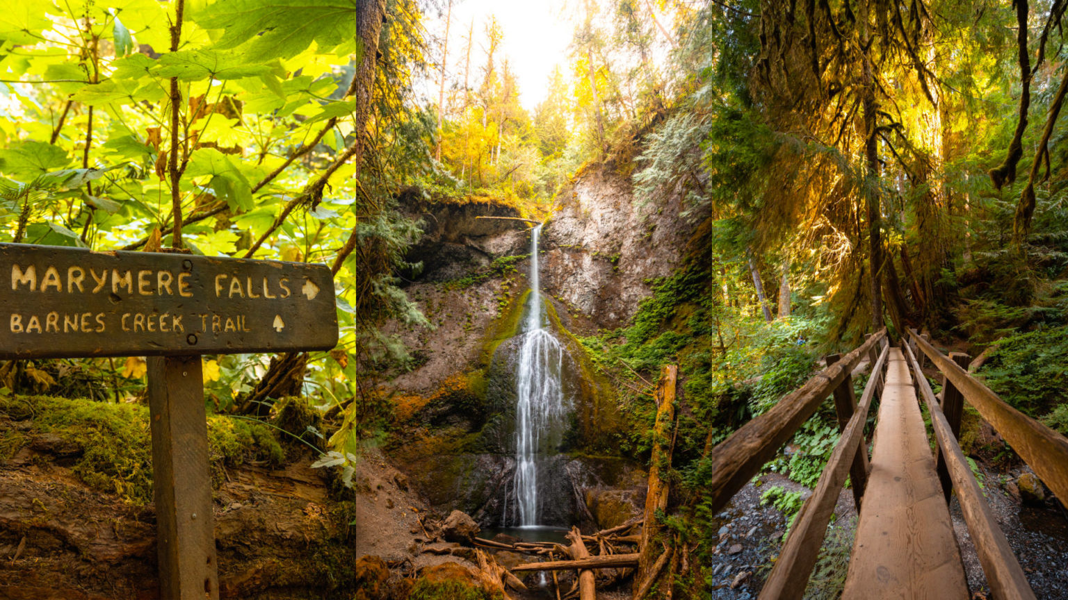 Marymere Falls in Olympic National Park: Photos & Travel Guide