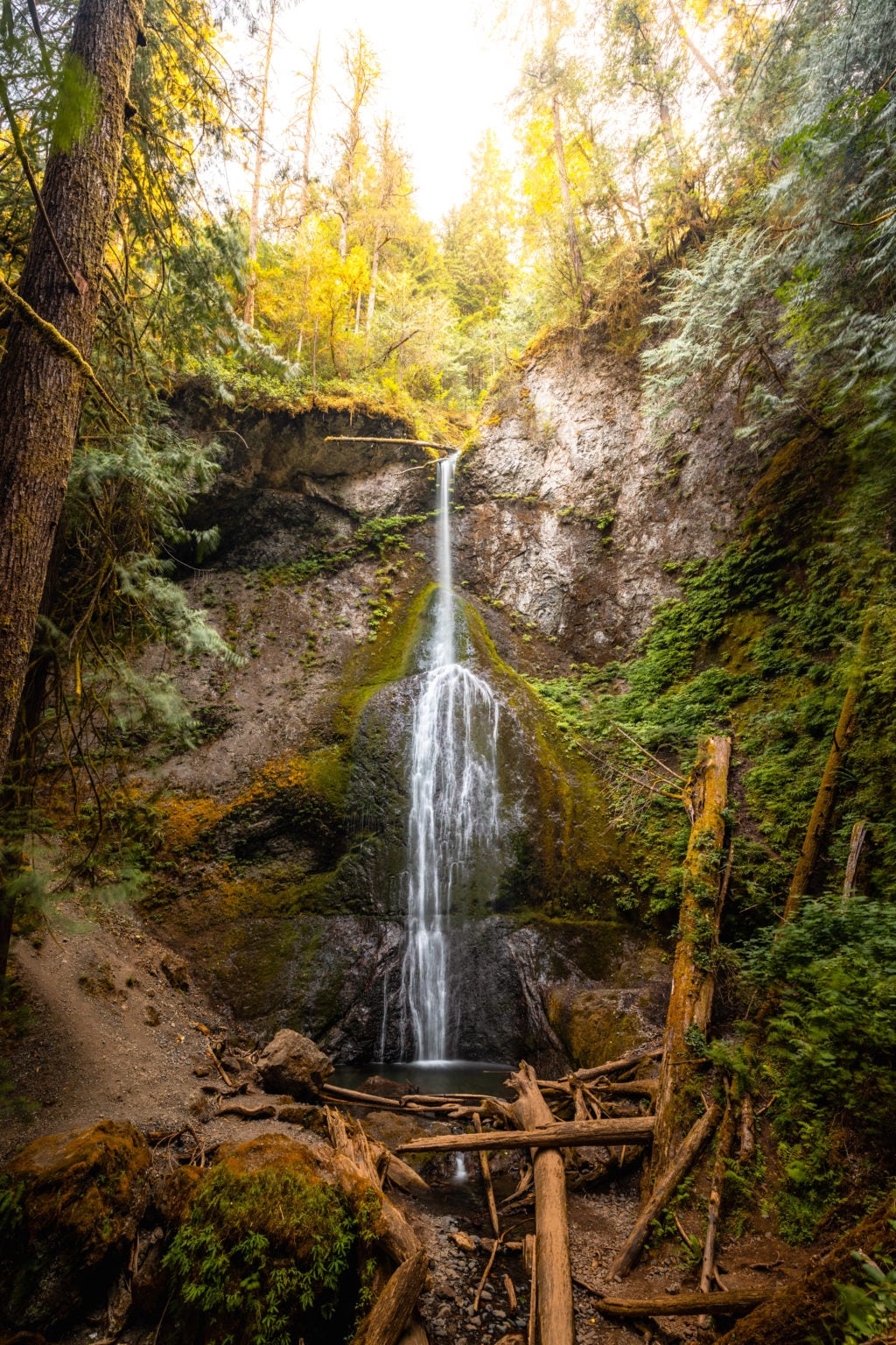 Marymere Falls in Olympic National Park: Photos & Travel Guide