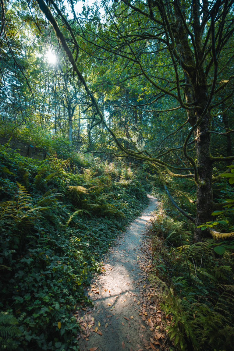 Best Places to Take Pictures in Portland, Oregon (Photo Guide)