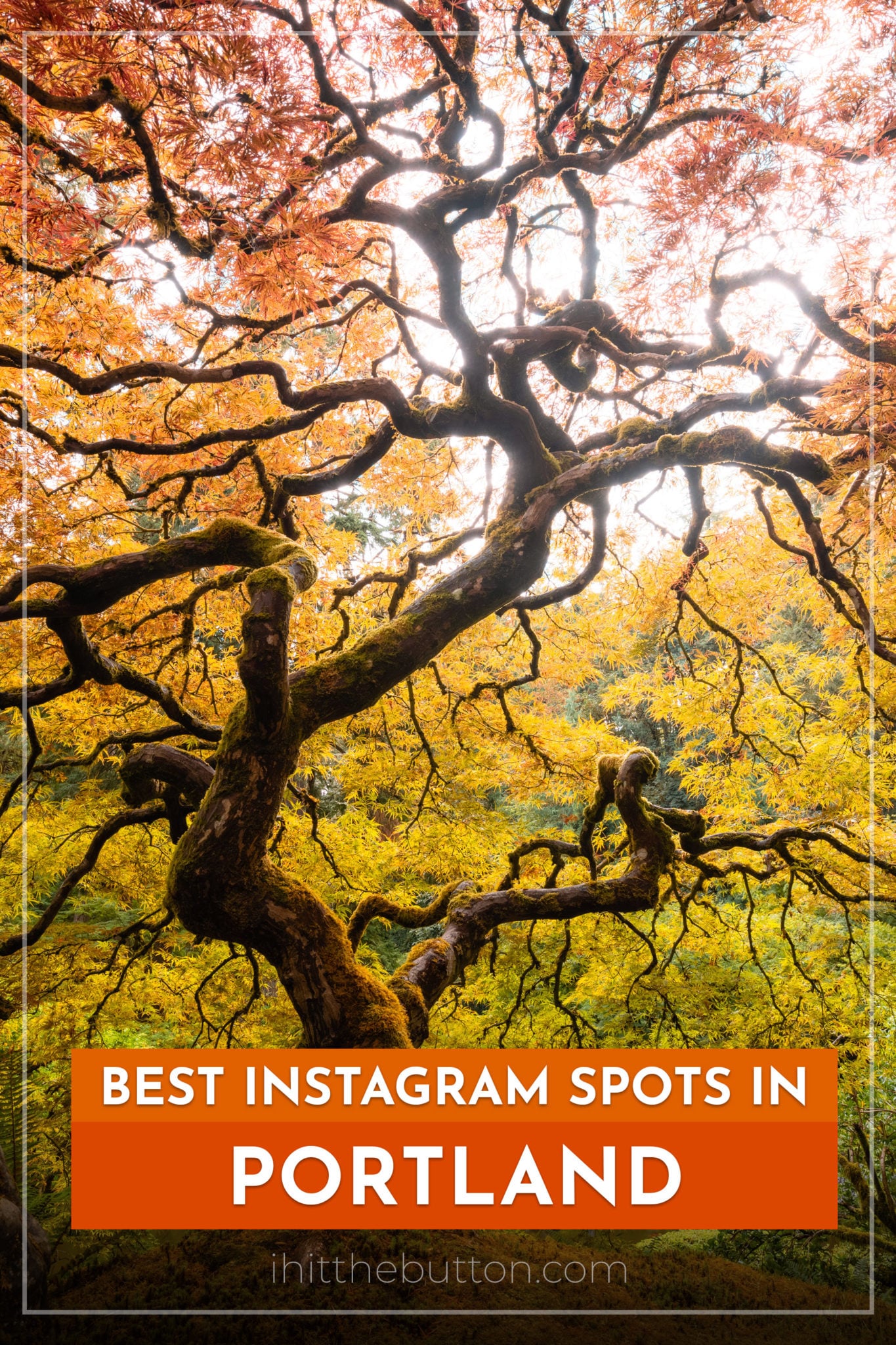 Best Places to Take Pictures in Portland, Oregon (Photo Guide)