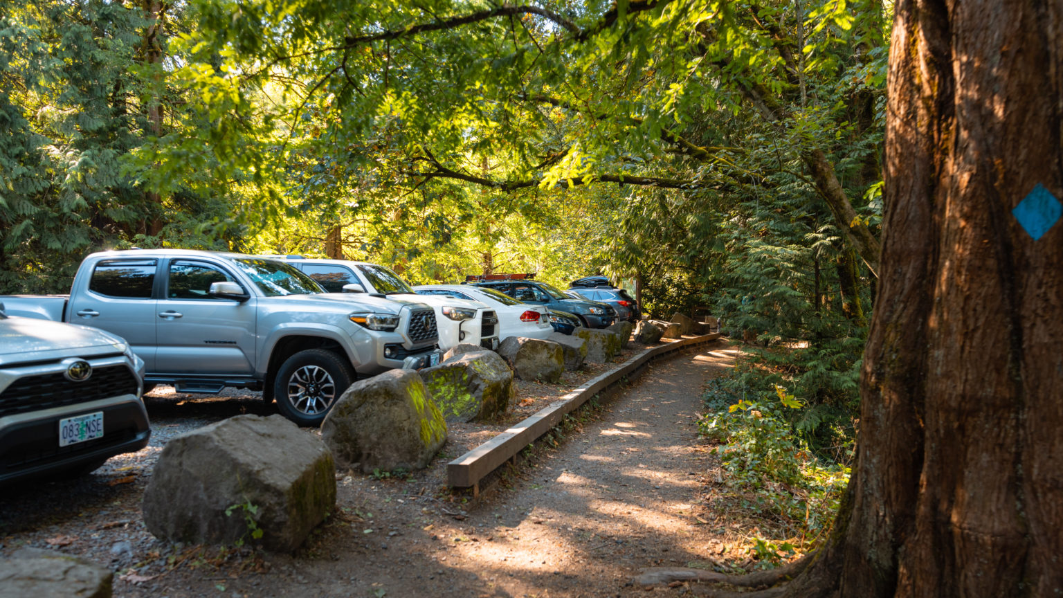 Visiting the Witch's Castle in Portland, Oregon (Hiking Guide)