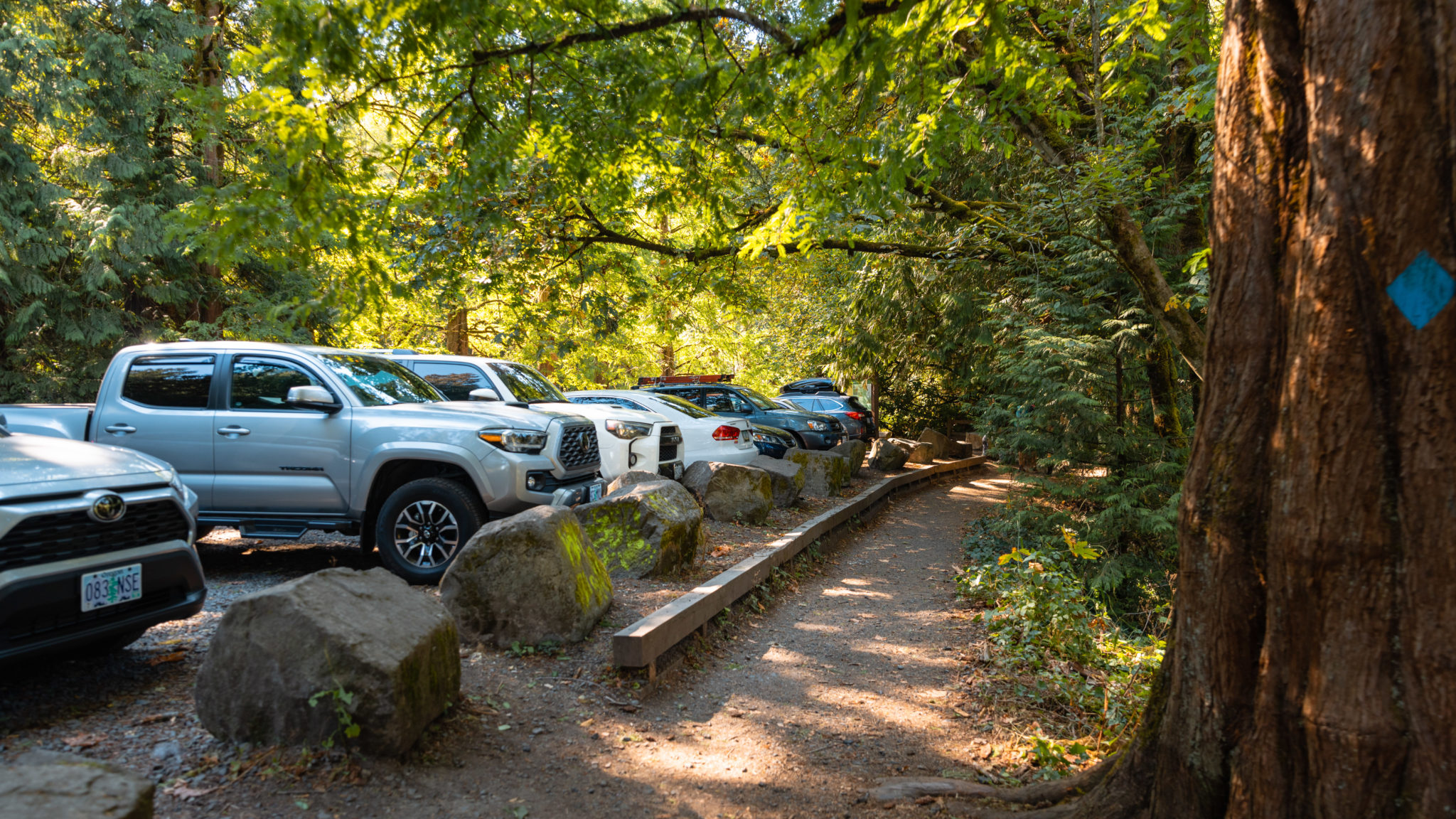 Visiting the Witch's Castle in Portland, Oregon (Hiking Guide)