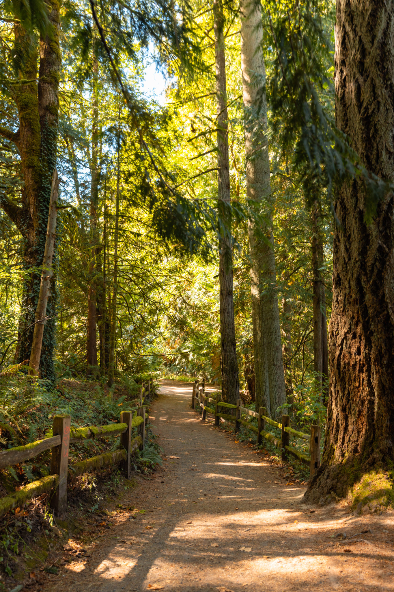 Visiting the Witch's Castle in Portland, Oregon (Hiking Guide)