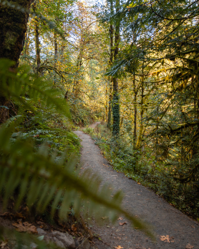 Visiting the Witch's Castle in Portland, Oregon (Hiking Guide)