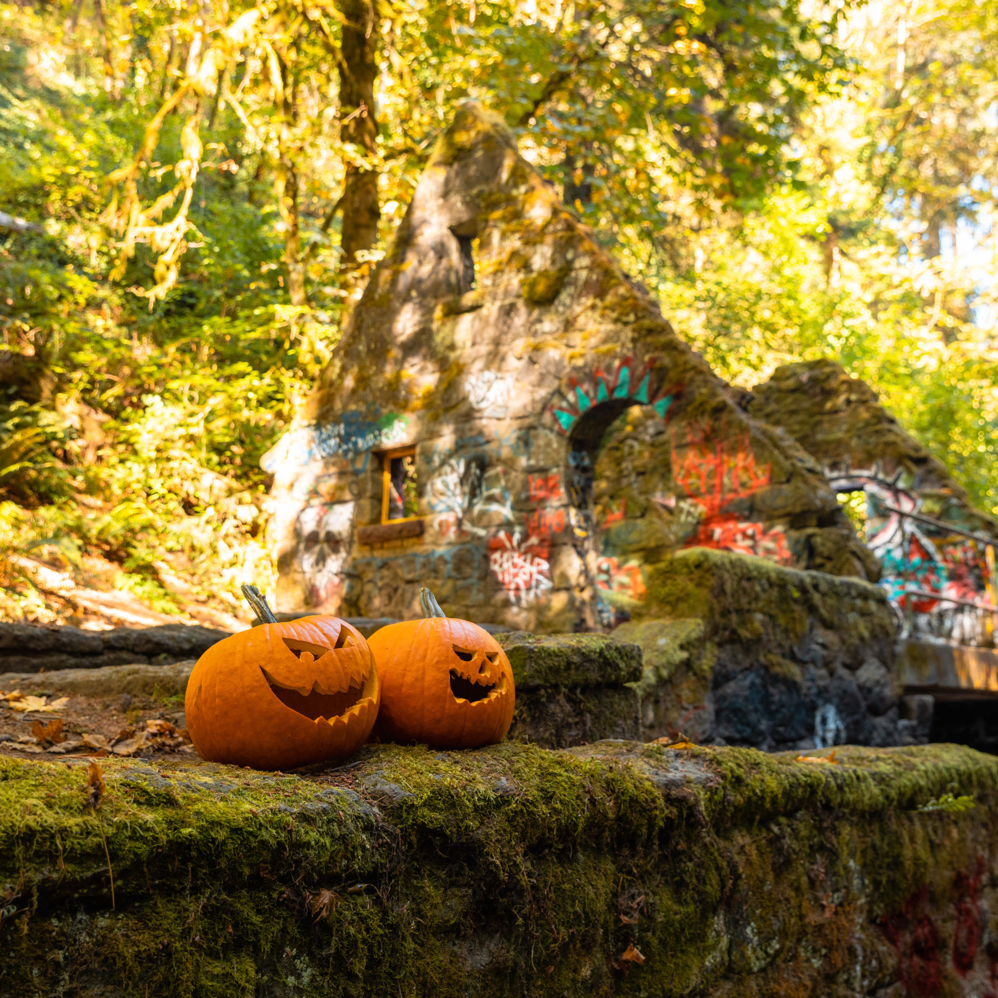 Visiting the Witch's Castle in Portland, Oregon (Hiking Guide)