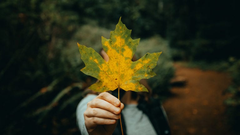 What is Emphasis in Photography? (Examples + Techniques)