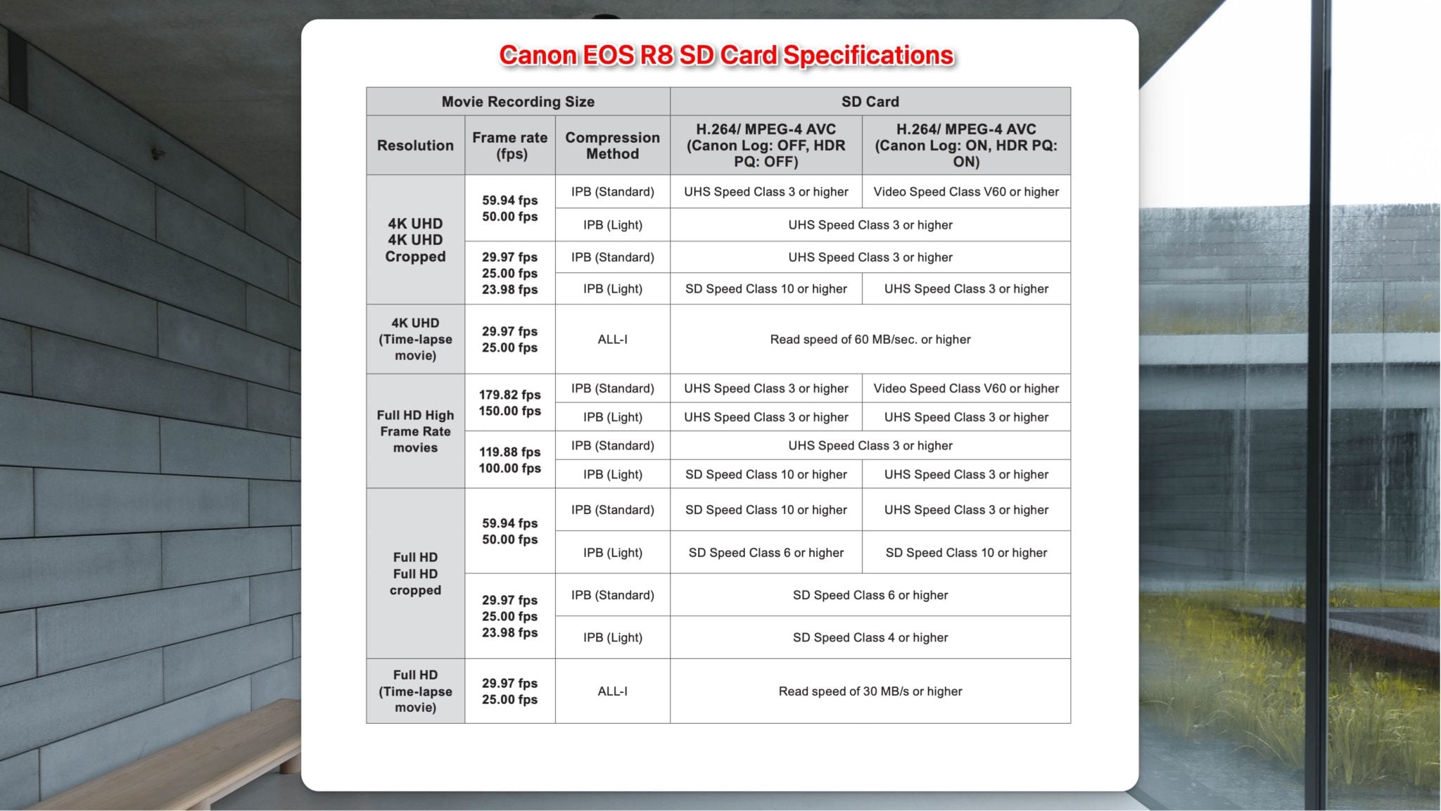 Best Memory Cards for Canon EOS R8 (Tested in 2024)