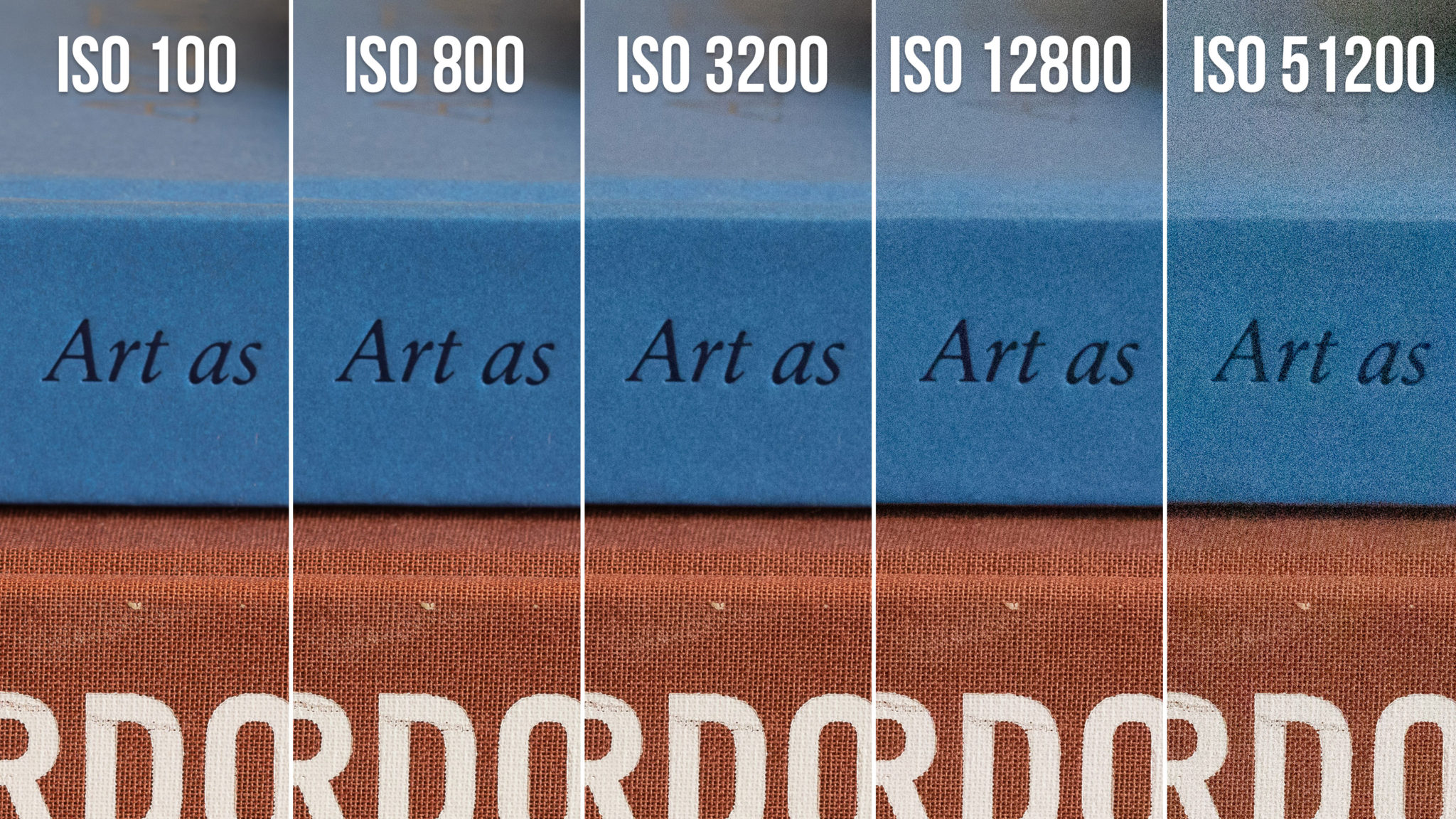 What is ISO in Photography? Learning the Basics