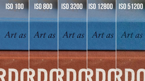 What is ISO in Photography? Learning the Basics