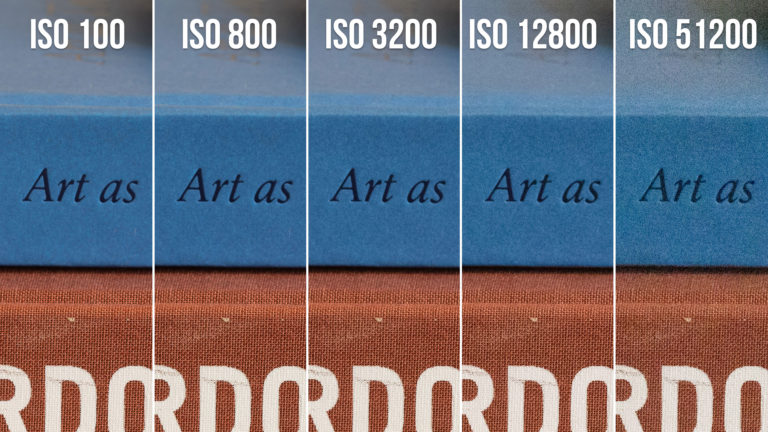 What is ISO in Photography? Learning the Basics