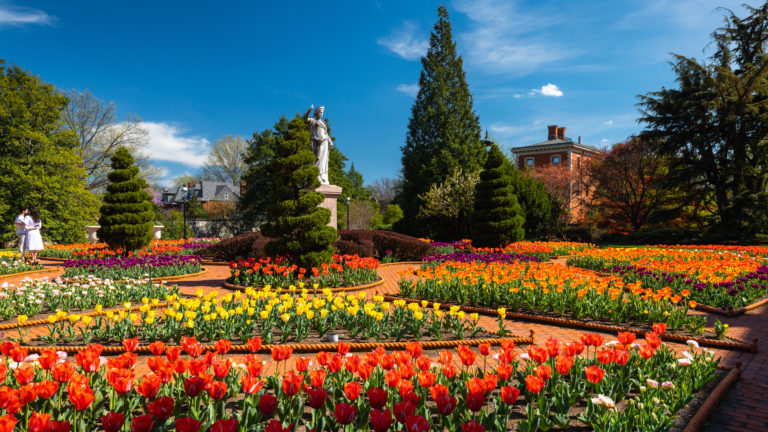 Visiting the Missouri Botanical Garden (Photos)