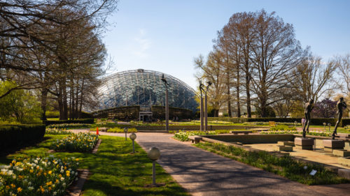 Visiting the Missouri Botanical Garden (Photos)
