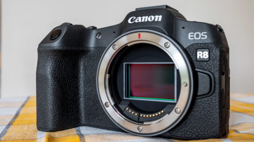 Full Frame vs Crop Sensor: Key Differences Explained
