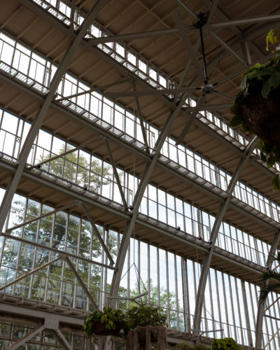 Exploring the Jewel Box in Forest Park, St. Louis (Travel Guide)