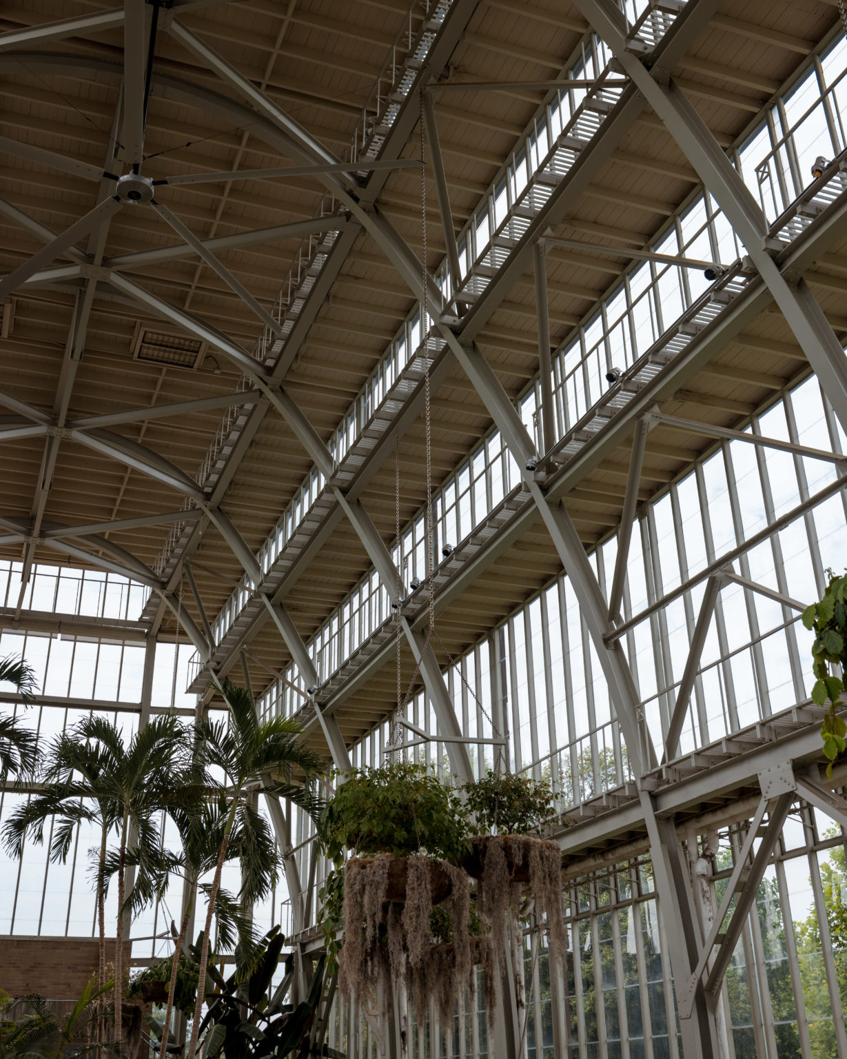 Exploring the Jewel Box in Forest Park, St. Louis (Travel Guide)