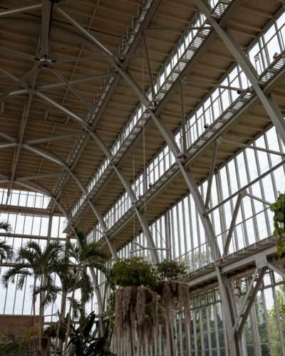 Exploring the Jewel Box in Forest Park, St. Louis (Travel Guide)