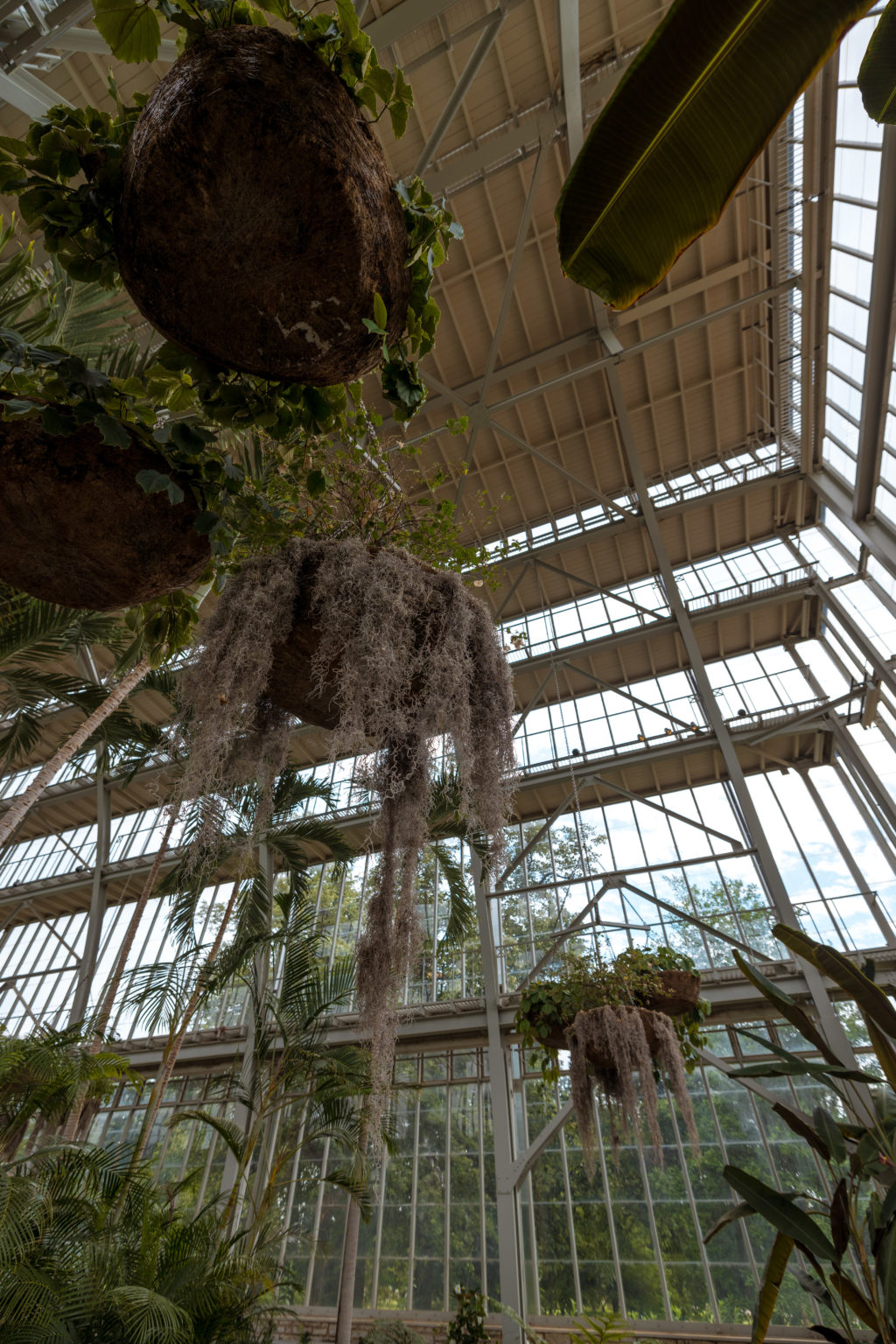 Exploring the Jewel Box in Forest Park, St. Louis (Travel Guide)