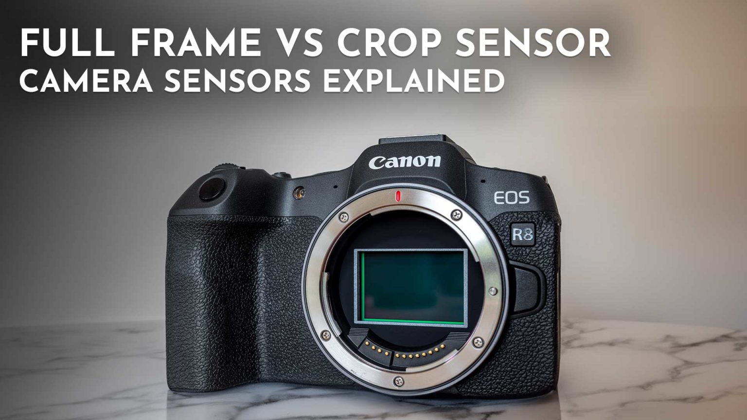 Full Frame vs Crop Sensor: Key Differences Explained