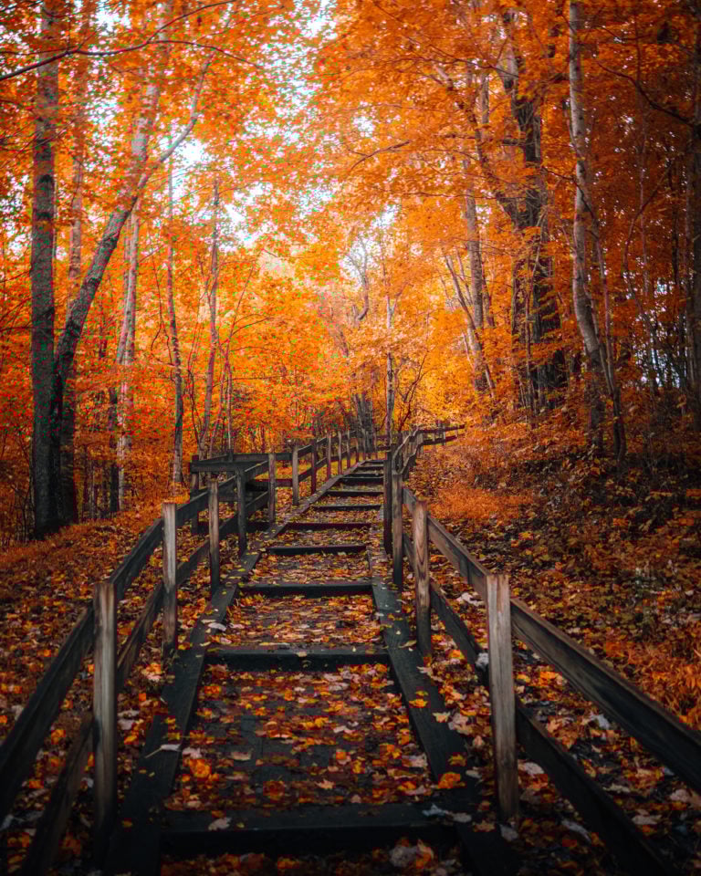 What is the Rule of Thirds and When to Break It