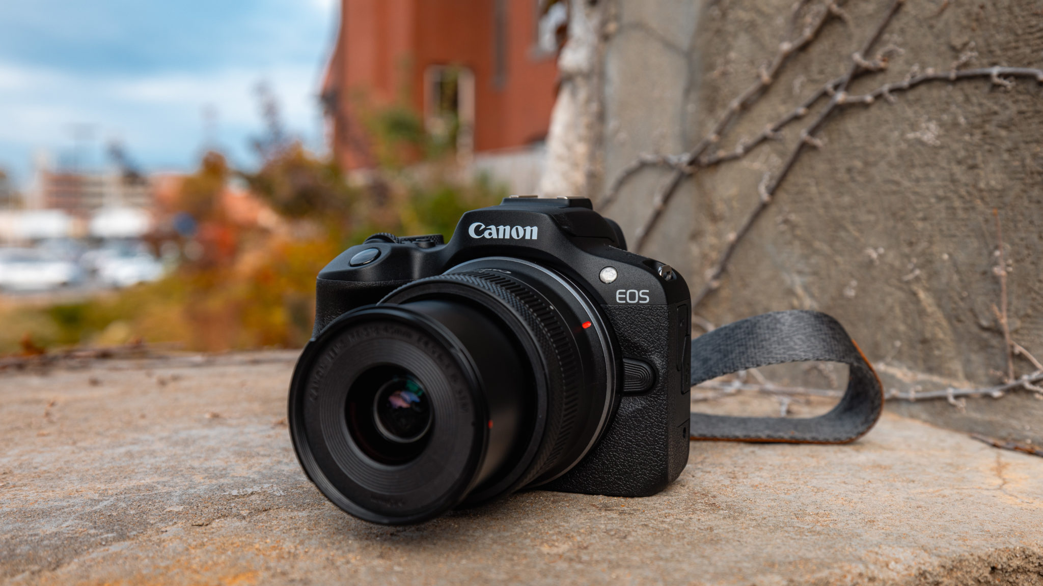 How to Update Canon Camera Firmware (Step-by-Step Guide)