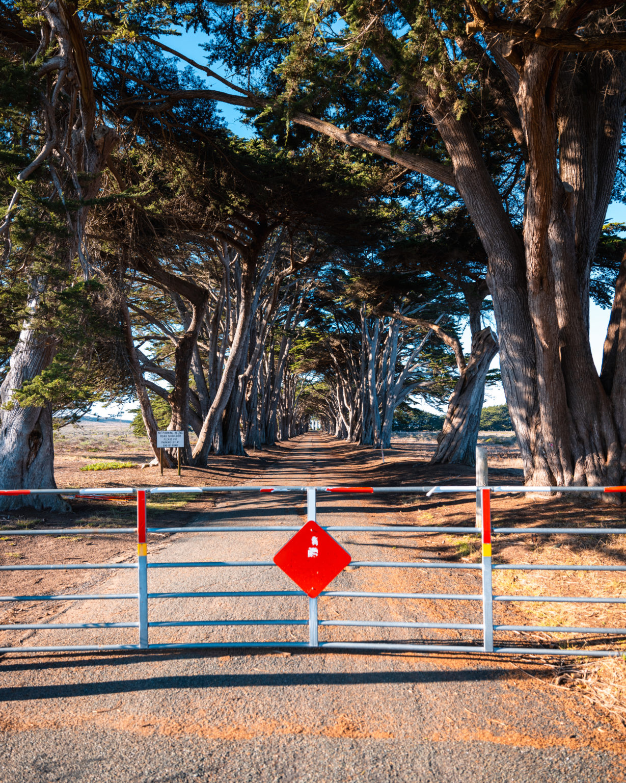 Best Places to Photograph in Point Reyes (Photo Guide)