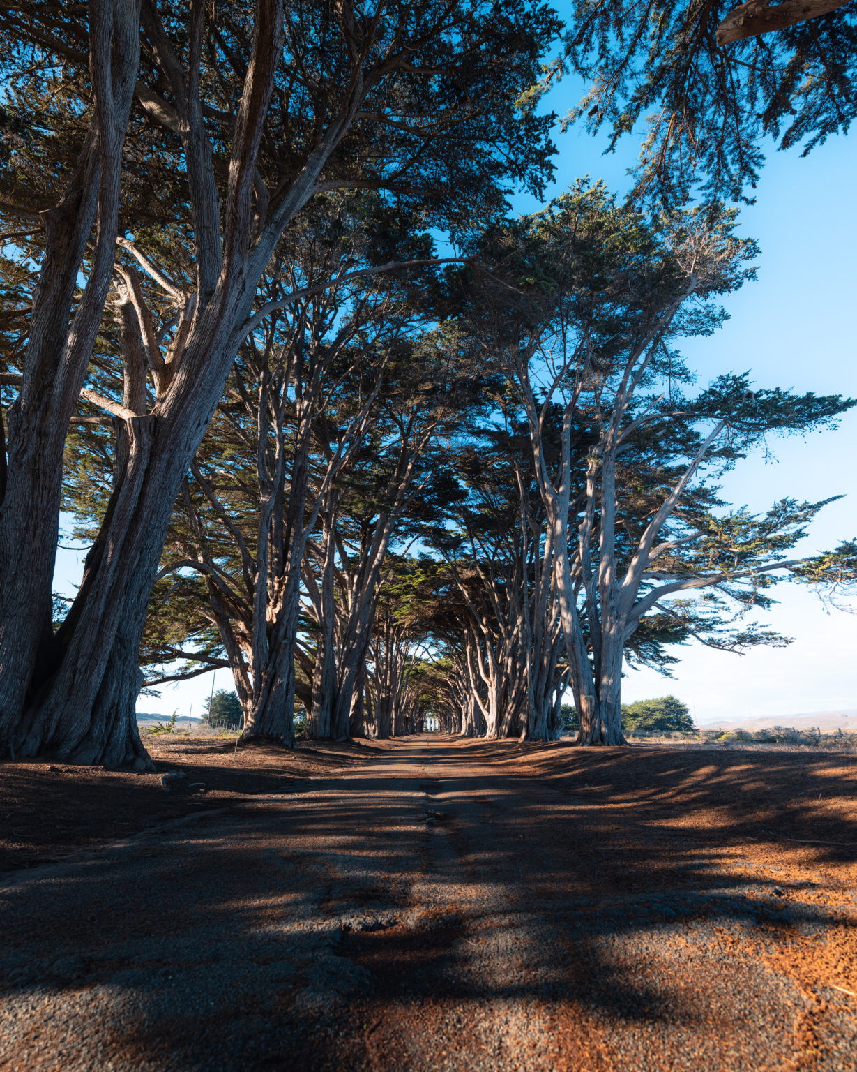 Best Places to Photograph in Point Reyes (Photo Guide)