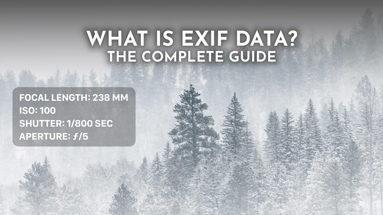 What Is Exif Data The Complete Guide